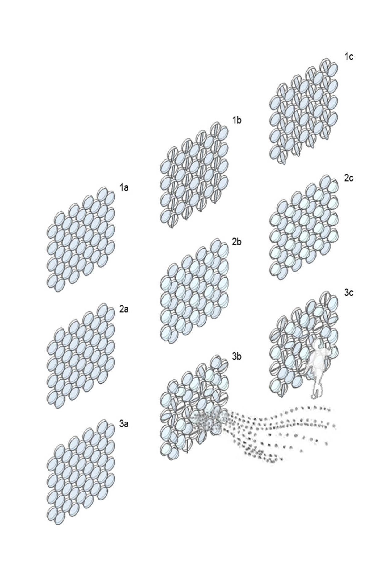 ROSTER KACA – PO WORKSHOP